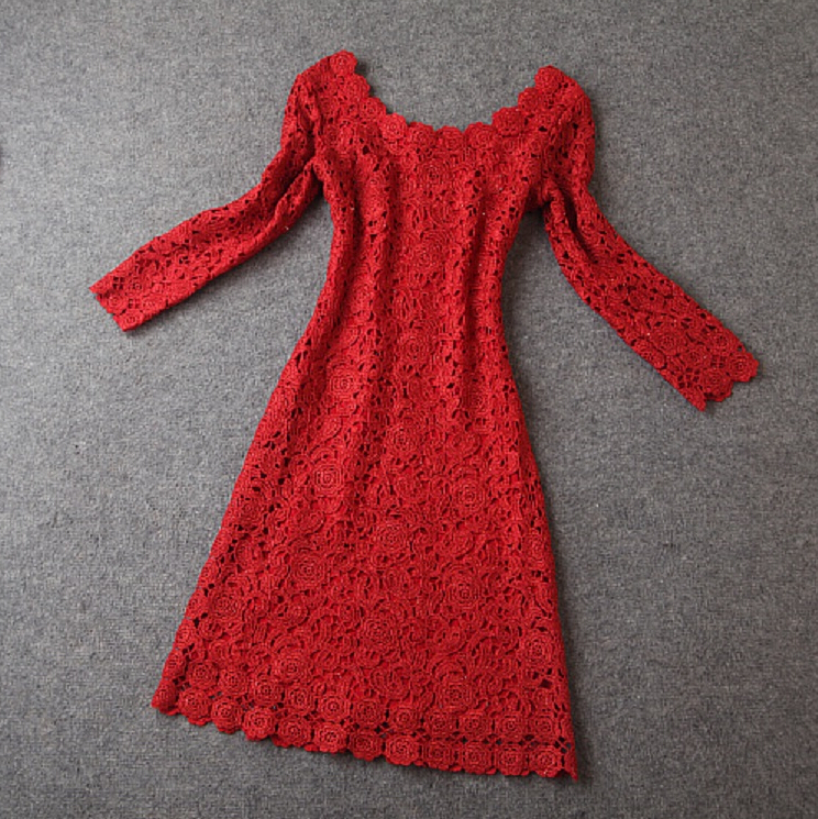 Slim Round Neck Lace Embroidered Dress Fg51704jh on Luulla